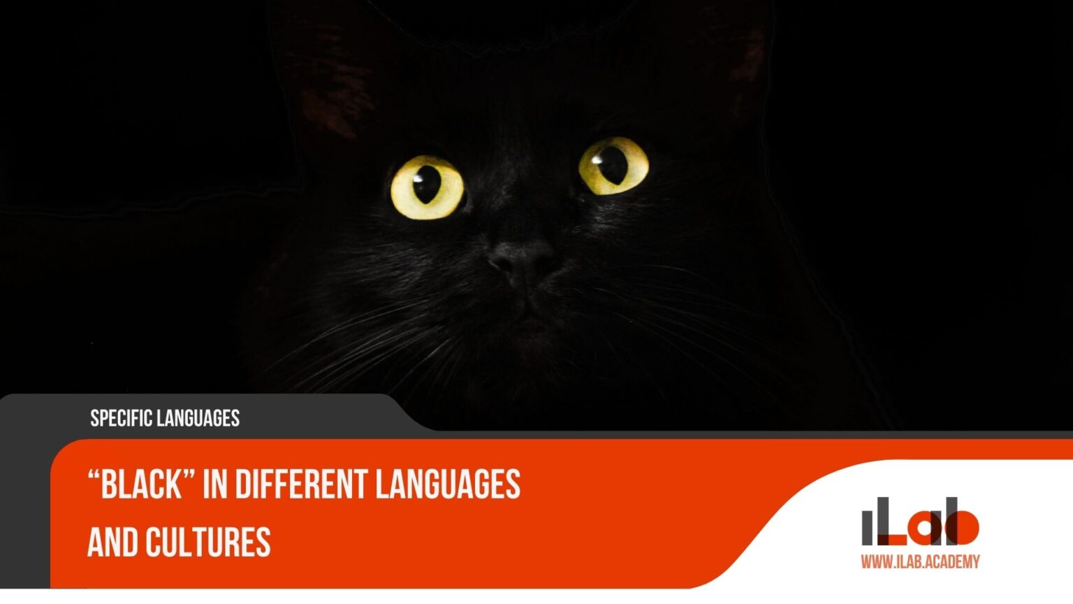 African Languages: Diversity, Complexity, and Vitality on the Continent ...