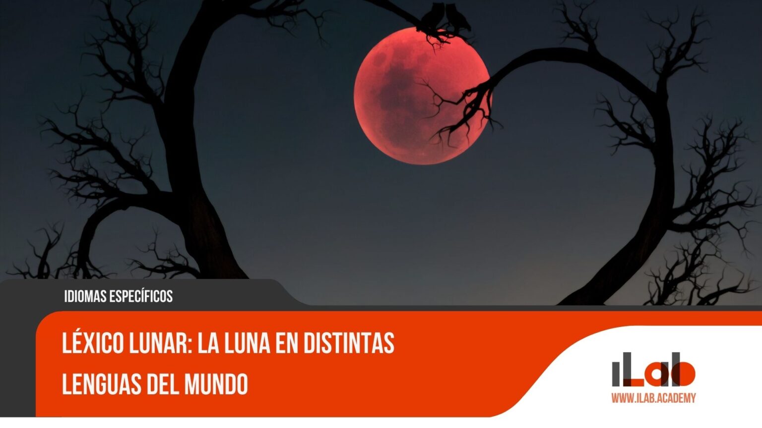 La Lengua Filipina: La voz en evolución de Filipinas - ILAB Academia